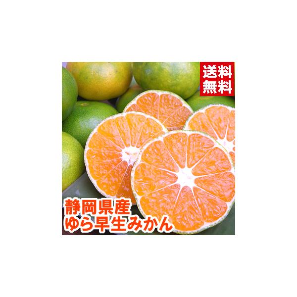 ■商品内容：静岡県産ゆら早生みかん青秀MまたはSサイズ 4kg■送料について：送料無料（北海道・沖縄は別途1,000円）■配送期間：10月3日前後〜10月24日頃まで※収穫状況により、若干早まったり遅れる場合がございます。---------...