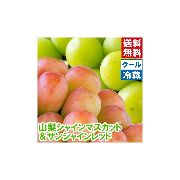 ■商品内容：山梨県産サンシャインレッド＆シャインマスカット秀品3Lサイズ以上 1.2キロ（2房入）■配送について：ヤマト・ゆうパック冷蔵便 ■送料について：送料無料（北海道・沖縄、一部離島1,000円）■配送時期：8月21日前後〜9月10日...