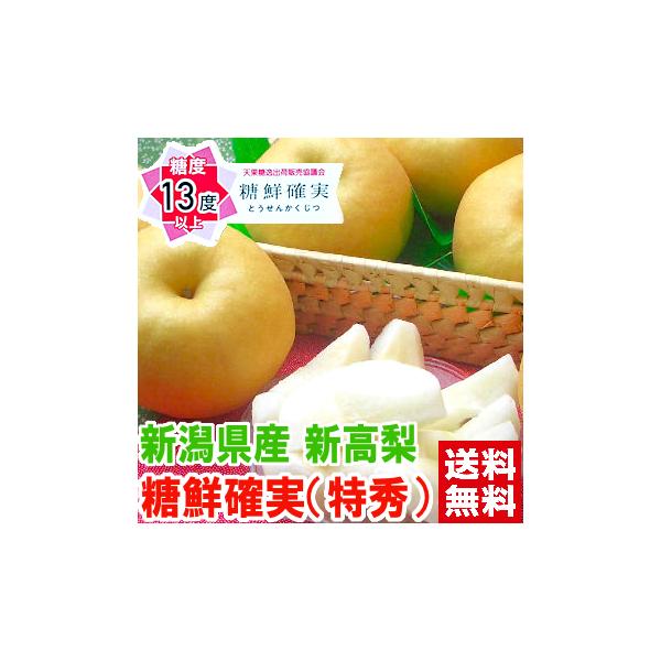 ■商品内容：新潟県産 大玉 新高梨特秀 糖鮮確実2.5kg（4〜5個）■送料について：送料無料（北海道800円・沖縄は別途1,000円）■配送期間：10月9日前後〜10月24日頃まで-----------------------------...
