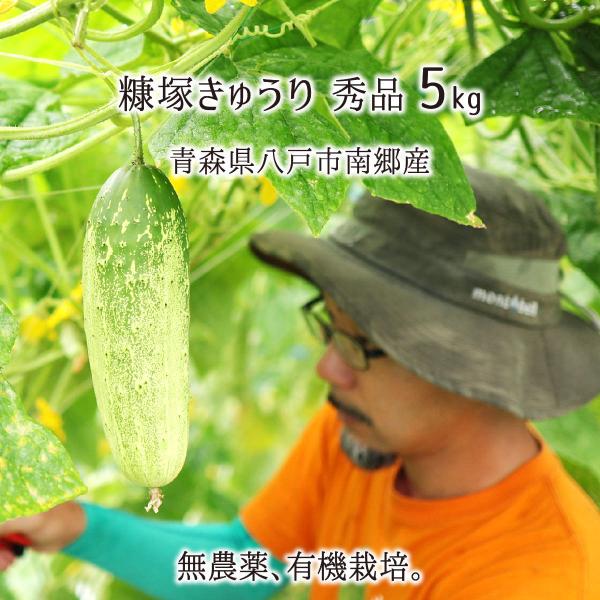 ※スマホのお客様、下記[もっと見る]より詳細ご覧下さい。■ 名称 ： 八戸伝承野菜 糠塚きゅうり■ 内容量 ： 約5kg■ 生産者 ： 南風農園■ 生産地 ： 青森県八戸市南郷■ 保存方法 ： 冷蔵保存、10℃以下で保存下さい。表皮に水気が...