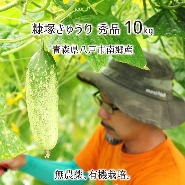 ※スマホのお客様、下記[もっと見る]より詳細ご覧下さい。■ 名称 ： 八戸伝承野菜 糠塚きゅうり■ 内容量 ： 約10kg■ 生産者 ： 南風農園■ 生産地 ： 青森県八戸市南郷■ 保存方法 ： 冷蔵保存、10℃以下で保存下さい。表皮に水気...