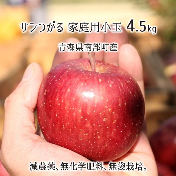 ※スマホのお客様、下記[もっと見る]より詳細ご覧下さい。■ 名称 ： サンつがる 家庭用 秀品・訳あり混載 小玉■ 内容量 ： 約4.5kg(23〜30玉) 箱重量含む■ 生産者 ： ユッキーファーム■ 生産地 ： 青森県三戸郡南部町■ 保...