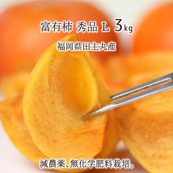 ※スマホのお客様、下記[もっと見る]より詳細ご覧下さい。■ 名称 ： 富有柿 秀品 L(220〜259g)■ 内容量 ： 約3kg 箱重量含む■ 生産者 ： 中野果実園■ 生産地 ： 福岡県久留米市田主丸町■ 保存方法 ： 冷蔵庫もしくは冷...
