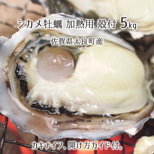 ※スマホのお客様、下記[もっと見る]より詳細ご覧下さい。■ 名称 ： シカメ牡蠣(体重：30〜80g、殻長：5〜10cm)■ 内容量 ： 5kg(カキナイフ1ヶ付)■ 生産者 ： 峰松海産■ 生産地 ： 佐賀県藤津郡太良町竹崎■ 保存方法 ...