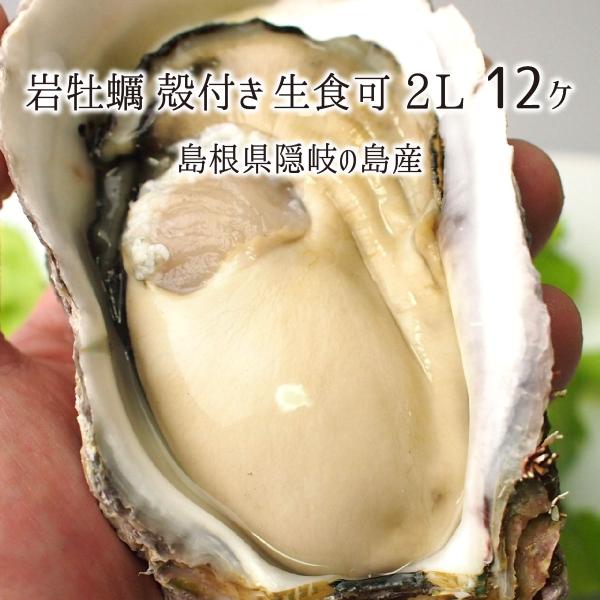 ※スマホのお客様、下記[もっと見る]より詳細ご覧下さい。■ 名称 ： 岩牡蠣 2L(体量：351〜400g、殻長：15〜20cm)■ 内容量 ： 12個(約4.5kg)■ 生産者 ： 美保丸■ 生産地 ： 島根県隠岐郡隠岐の島町中村湾■ 保...