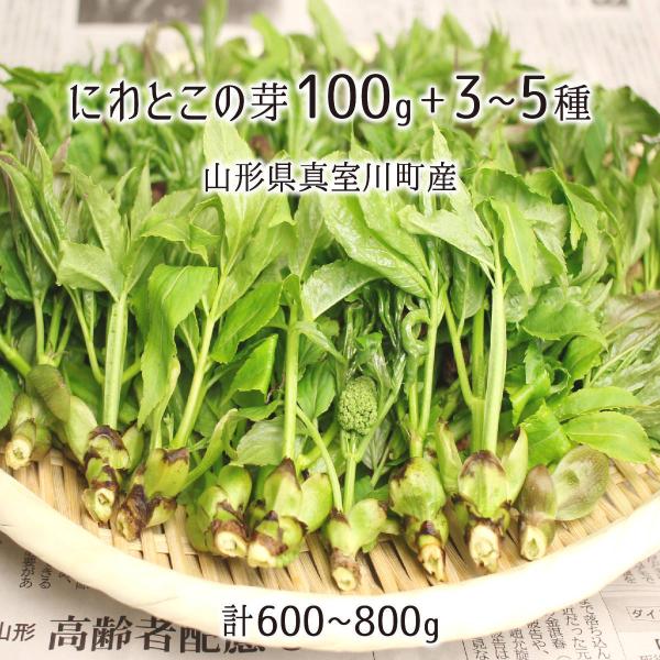 ※スマホのお客様、下記[もっと見る]より詳細ご覧下さい。■ 名称 ： 天然山菜 にわとこの芽■ 内容量 ： 600〜800g■ 生産者 ： 春夏秋冬真室川■ 採取地 ： 山形県最上地方、庄内地方。■ 保存方法 ： 冷蔵保存、10℃以下で保存...