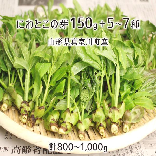※スマホのお客様、下記[もっと見る]より詳細ご覧下さい。■ 名称 ： 天然山菜 にわとこの芽■ 内容量 ： 800〜1000g■ 生産者 ： 春夏秋冬真室川■ 採取地 ： 山形県最上地方、庄内地方。■ 保存方法 ： 冷蔵保存、10℃以下で保...