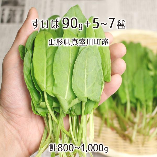 ※スマホのお客様、下記[もっと見る]より詳細ご覧下さい。■ 名称 ： 天然山菜 すいば■ 内容量 ： 800〜1000g■ 生産者 ： 春夏秋冬真室川■ 採取地 ： 山形県最上地方、庄内地方。■ 保存方法 ： 冷蔵保存、10℃以下で保存下さ...