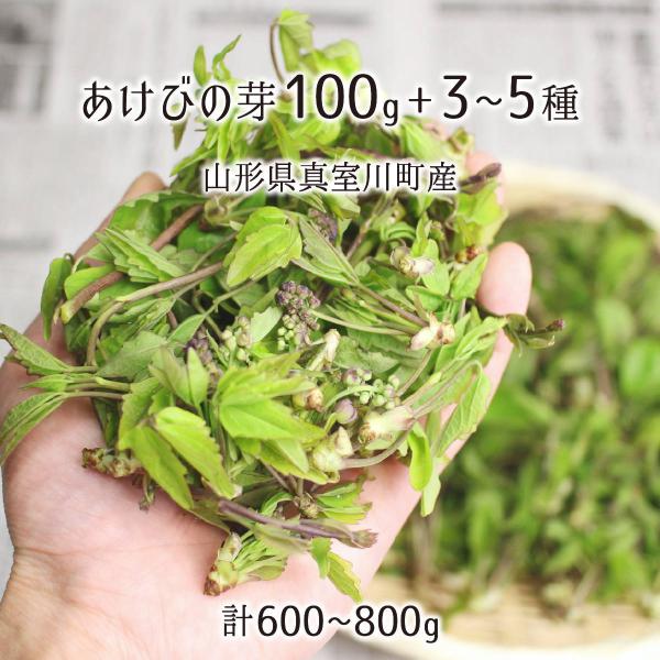 ※スマホのお客様、下記[もっと見る]より詳細ご覧下さい。■ 名称 ： 天然山菜 あけびの芽■ 内容量 ： 600〜800g■ 生産者 ： 春夏秋冬真室川■ 採取地 ： 山形県最上地方、庄内地方。■ 保存方法 ： 冷蔵保存、10℃以下で保存下...