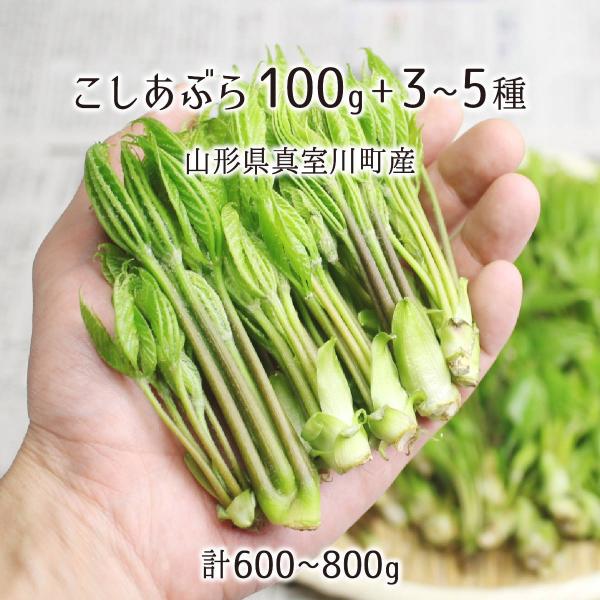 ※スマホのお客様、下記[もっと見る]より詳細ご覧下さい。■ 名称 ： 天然山菜 こしあぶら■ 内容量 ： 600〜800g■ 生産者 ： 春夏秋冬真室川■ 採取地 ： 山形県最上地方、庄内地方。■ 保存方法 ： 冷蔵保存、10℃以下で保存下...