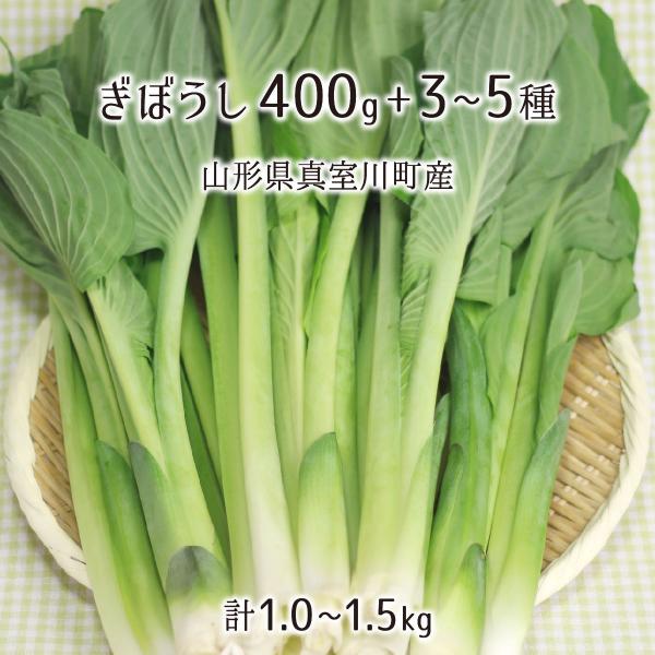※スマホのお客様、下記[もっと見る]より詳細ご覧下さい。■ 名称 ： 天然山菜 ぎぼうし■ 内容量 ： 1.0〜1.5kg■ 生産者 ： 春夏秋冬真室川■ 採取地 ： 山形県最上地方、庄内地方。■ 保存方法 ： 冷蔵保存、10℃以下で保存下...