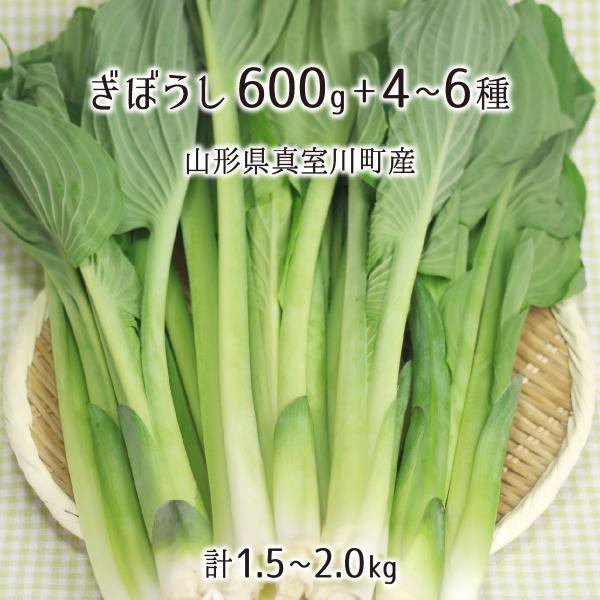 ※スマホのお客様、下記[もっと見る]より詳細ご覧下さい。■ 名称 ： 天然山菜 ぎぼうし■ 内容量 ： 1.5〜2.0kg■ 生産者 ： 春夏秋冬真室川■ 採取地 ： 山形県最上地方、庄内地方。■ 保存方法 ： 冷蔵保存、10℃以下で保存下...