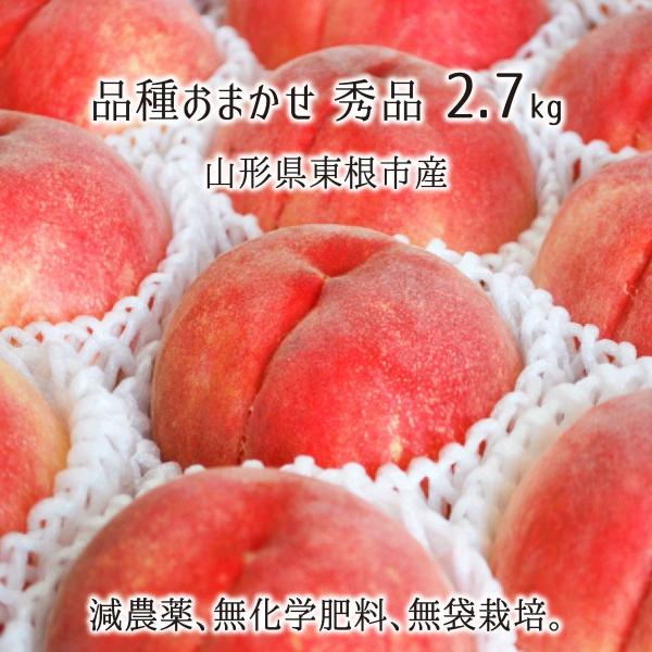 ※スマホのお客様、下記[もっと見る]より詳細ご覧下さい。■ 名称 ： 桃(あまとう、あかつき、愛川中島、いけだ、黄金桃、川中島白桃、ネクタリン) 秀品■ 内容量 ： 2.7kg■ 生産者 ： 土田果樹園■ 生産地 ： 山形県東根市■ 保存方...