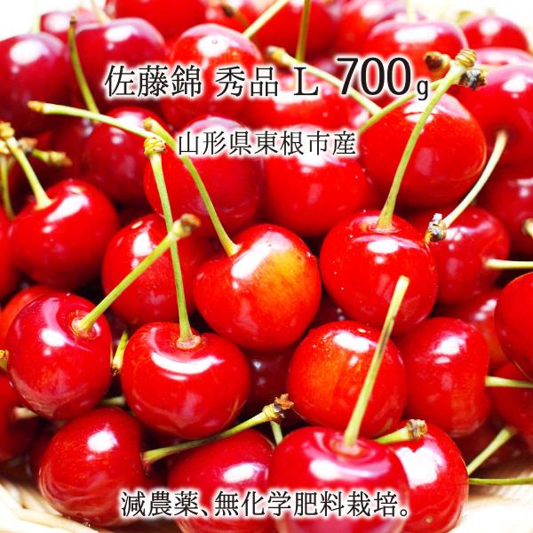 ※スマホのお客様、下記[もっと見る]より詳細ご覧下さい。■ 名称 ： さくらんぼ 佐藤錦 秀品 L■ 内容量 ： 700g■ 生産者 ： 土田果樹園■ 生産地 ： 山形県東根市■ 保存方法 ： 常温保存、風通し良い冷涼な場所もしくは冷蔵庫で...