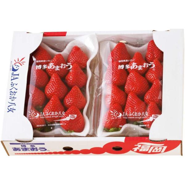 【ご予約は12/10(木) 15時まで】●商品詳細合計約270g（8〜11粒）×2（福岡県産）●食品アレルギー：対象なし●配送温度：冷蔵＜商品のお届けについて＞●お届け期間：12/1(火)〜12/26(土)　お届け日は指定できません　発送の...
