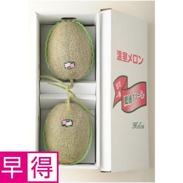 【早得予約は5/20(水) 15時まで】※早得期間終了後は、本体価格5,5000円(税込5,940円)となります。熊本県を代表するメロン「肥後グリーン」。高糖度で肉厚の上品な味をお楽しみください。●商品詳細Ｌサイズ、２個（１個１．５ｋｇ以上...