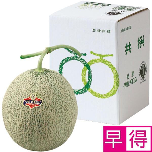 【早得予約は5/20(水) 15時まで】※早得期間終了後は、本体価格5,5000円(税込5,940円)となります。豊かな甘さと美しく張られたネットが特徴。大切な方へのギフトのお品としてお届けします。●商品詳細秀品、２Ｌサイズ、１個（１．５ｋ...