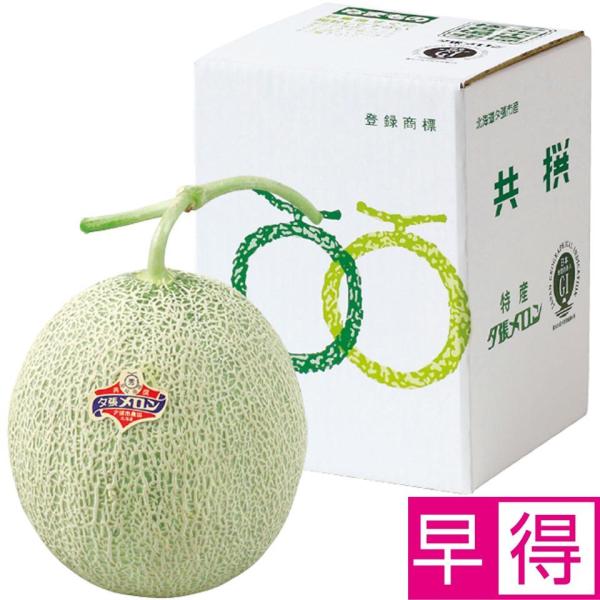 【早得予約は5/20(水) 15時まで】※早得期間終了後は、本体価格5,9000円(税込6,372円)となります。豊かな甘さと美しく張られたネットが特徴。大切な方へのギフトのお品としてお届けします。●商品詳細秀品、３Ｌサイズ、１個（１．９ｋ...