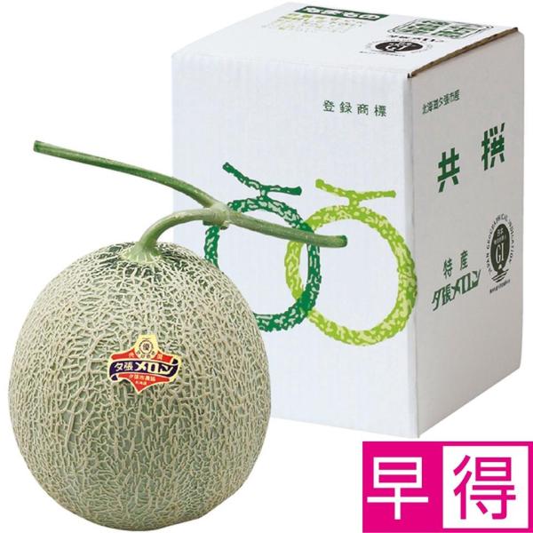 【早得予約は5/20(水) 15時まで】※早得期間終了後は、本体価格3,5000円(税込3,780円)となります。おいしいという一言のために１個１個に愛情を込めて生産される夕張メロン。北海道が世界に誇る甘さと香り。●商品詳細優品、Ｌサイズ、...