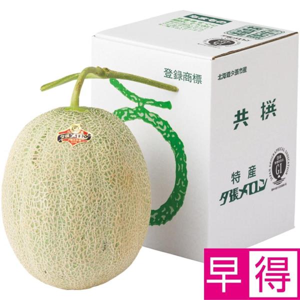【早得予約は5/20(水) 15時まで】※早得期間終了後は、本体価格3,7000円(税込3,996円)となります。厳しい管理体制で育てられた夕張メロンを北海道からお届けします。●商品詳細良品、３Ｌサイズ、１個（１．９ｋｇ以上）●原料産地：北...