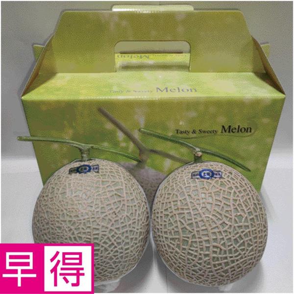 【早得予約は5/20(水) 15時まで】※早得期間終了後は、本体価格6,5000円(税込7,020円)となります。南国高知の温室で大切に育てたメロンです。１本の木で育てるのは１個だけで、養分を集めて豊かな芳香ととろけるような甘さを生みだしま...