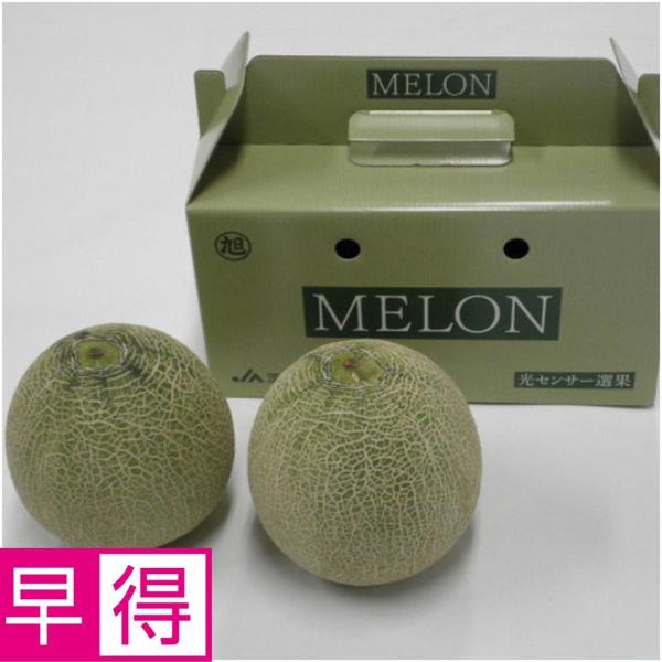 【早得予約は5/20(水) 15時まで】※早得期間終了後は、本体価格3,5000円(税込3,780円)となります。光センサー選果による徹底した品質管理により安定した甘さとおいしさをお届けします。●商品詳細２Ｌ又はＬＡサイズ、２個（１個８３０...