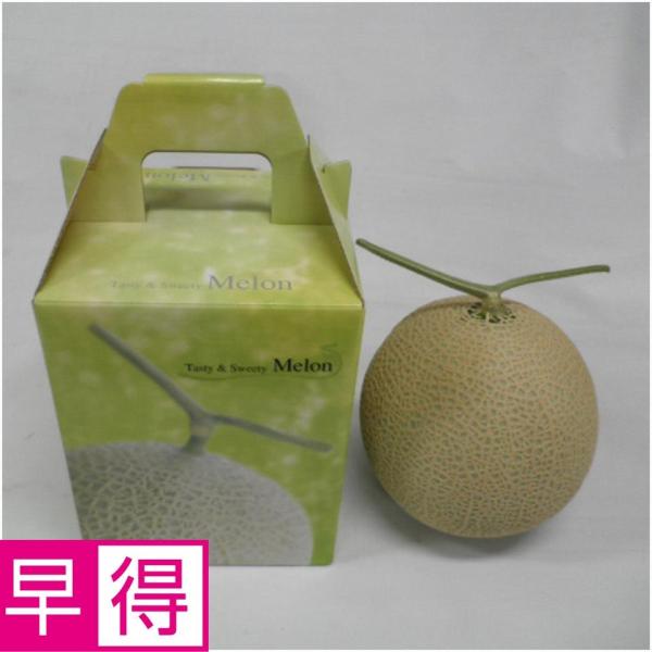 【早得予約は5/20(水) 15時まで】※早得期間終了後は、本体価格3,5000円(税込3,780円)となります。南国高知の温室で大切に育てたメロンです。１本の木で育てるのは１個だけで、養分を集めて豊かな芳香ととろけるような甘さを生みだしま...