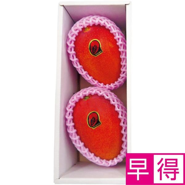 【ご予約は6/16(火) 15時まで】※早得期間終了後は、本体価格6,800円(税込7,344円)となります。ネットに自然に落果するのを待って収穫した、完熟状態のマンゴーをお届けいたします。●商品詳細Ｌサイズ２個（１個３１０ｇ以上）又は２Ｌ...