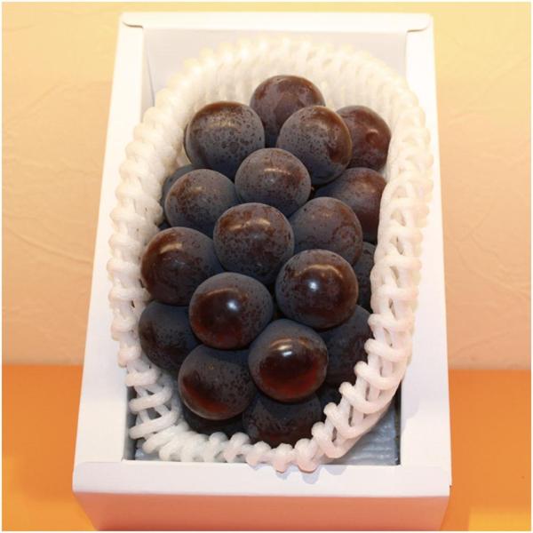 【ご予約は6/16(火) 15時まで】種なしで食べやすいハウス栽培の岡山県産種なしピオーネをお届けいたします。●商品詳細１房（５００ｇ以上）※サイズ指定はご容赦ください。●原料産地：岡山県●箱のサイズ(mm)：230×180×150●配送温...