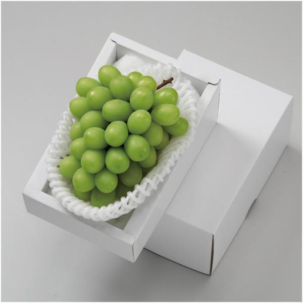 【ご予約は6/16(火) 15時まで】芳醇な香りと上品な甘みの葡萄・岡山のマスカット・オブ・アレキサンドリアをお届けします。●商品詳細１房（５００ｇ以上）※サイズ指定はご容赦ください。●原料産地：岡山県●箱のサイズ(mm)：230×180×...