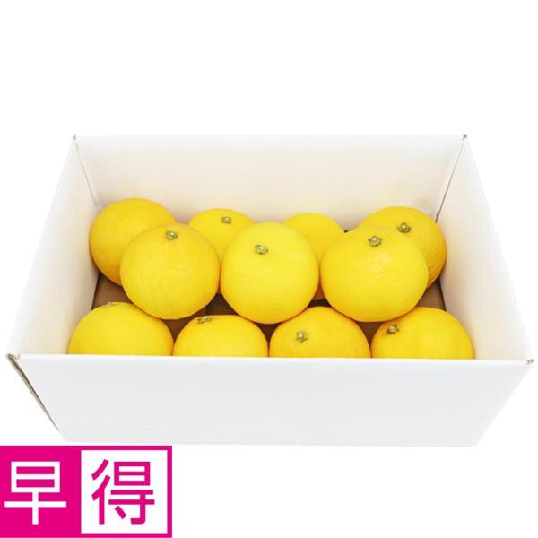 【早得予約は5/20(水) 15時まで】※早得期間終了後は、本体価格3,5000円(税込3,780円)となります。程良い甘さと酸味の優れたバランスと喉をスーッと潤わすジューシーさが特徴。白い綿と一緒にお食べください。●商品詳細３Ｌ〜Ｌサイズ...