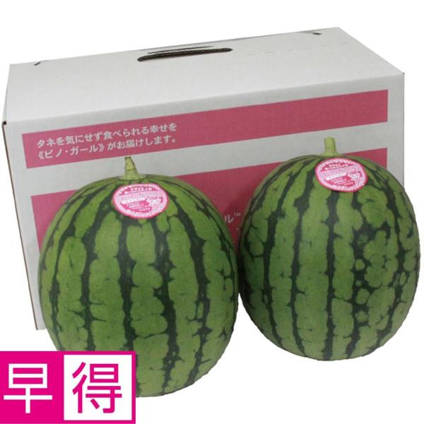 【早得予約は5/20(水) 15時まで】※早得期間終了後は、本体価格5,4000円(税込5,832円)となります。食べきりサイズの小玉スイカ。マイクロシードですので食べにくい原因の種を気にせずそのまま食べられます。●商品詳細２個（１個１．５...