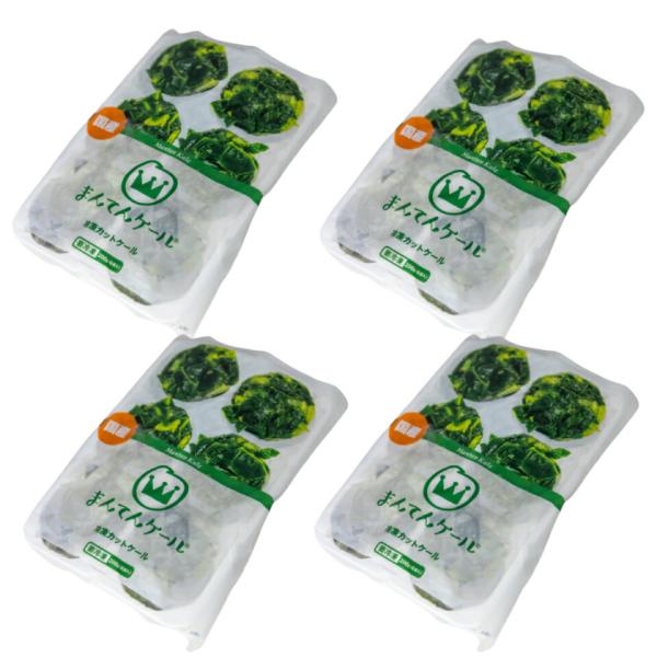 【静岡 石井育種場】 まんてんケール（冷凍カットケール）200g入×4袋 冬から春にかけて栄養価が一番高い時期に収穫して新鮮急速冷凍した「冷凍カットケール」   ●200ｇ(6個入り)×4袋弊社は明治40年創業以来、静岡でアブラナ科を中心と...