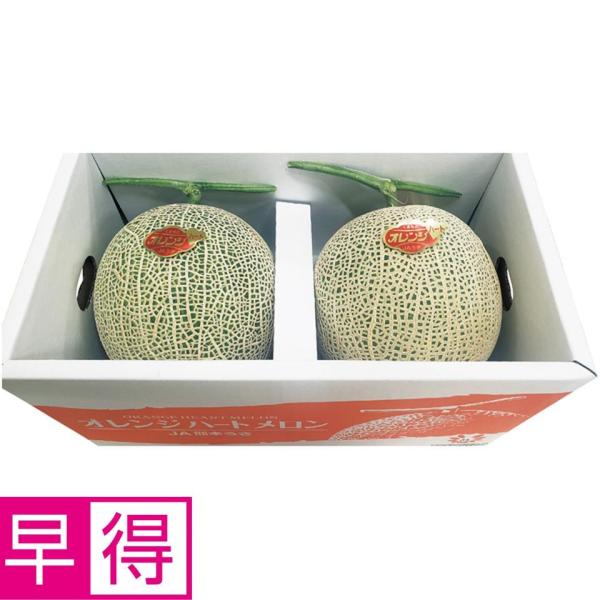 【早得予約は4/13(月) 15時まで】※早得期間終了後は、本体価格6,9000円(税込7,452円)となります。玉の肥大性に優れ、食味がまろやかで収穫糖度も高いご満足いただけるメロンです。●商品詳細赤肉、２個、計３ｋｇ以上※サイズ指定はご...