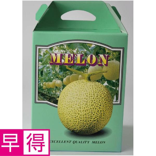【早得予約は4/13(月) 15時まで】※早得期間終了後は、本体価格3,9000円(税込4,212円)となります。玉の肥大性に優れ、食味がまろやかで収穫糖度も高いご満足いただけるメロンです。●商品詳細青肉、１個（１．３ｋｇ以上）※サイズ指定...