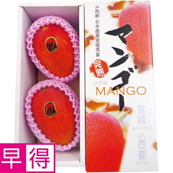 【ご予約は5/5(火) 15時まで】※早得期間終了後は、本体価格6,800円(税込7,344円)となります。果実が熟してネットに自然に落果するのを待って収穫するので、完熟状態で出荷します。お手元に届いたらすぐにお楽しみいただけます。●商品詳...