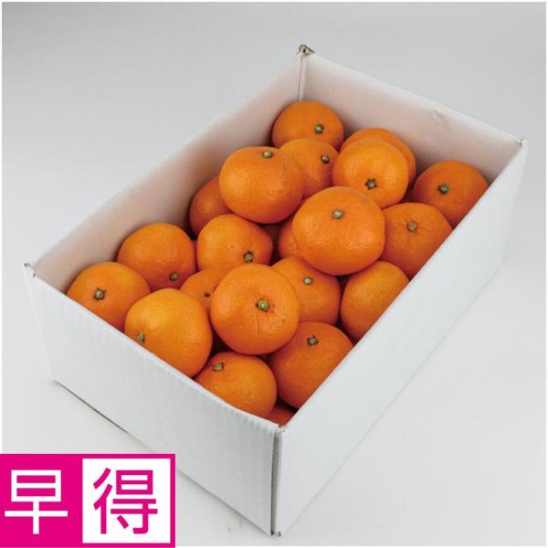 【早得予約は4/13(月) 15時まで】※早得期間終了後は、本体価格5,9000円(税込6,372円)となります。実を結んでから完熟するまでほぼ一年間樹上にあり、適度に酸度が抜けた実は母の日にふさわしいさわやかな甘さが特徴。●商品詳細Ｓ又は...