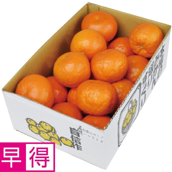 【早得予約は4/13(月) 15時まで】※早得期間終了後は、本体価格3,0000円(税込3,240円)となります。甘みと酸味がしっかりあり、果汁が濃く爽やかな柑橘です。●商品詳細秀品、Ｍ〜２Ｌサイズ、１８〜２８個、計３ｋｇ以上※サイズ指定は...