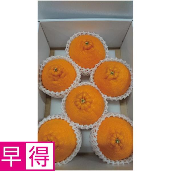 【早得予約は4/13(月) 15時まで】※早得期間終了後は、本体価格3,9000円(税込4,212円)となります。収穫されたばかりの不知火は甘みとともに酸味も強いのですが、１〜４ヶ月貯蔵して酸味が抜けて食べ頃になってから出荷されます。みかん...