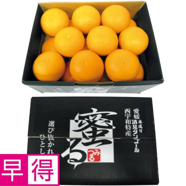 【早得予約は4/13(月) 15時まで】※早得期間終了後は、本体価格4,500円(税込4,860円)となります。果実に袋をかけ、木に実らせたままじっくり越冬させたオレンジです。Ｌサイズを選りすぐってお届けします。●商品詳細Ｌサイズ、１７個以...