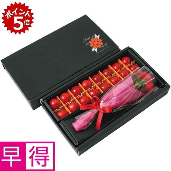 【早得予約は4/13(月) 15時まで】※早得期間終了後は、本体価格5,9000円(税込6,372円)となります。丹精込めて育てた旬のさくらんぼ「佐藤錦」に、感謝の心を伝えるカーネーションを添えて。●商品詳細さくらんぼ（佐藤錦、秀品、Ｌサイ...