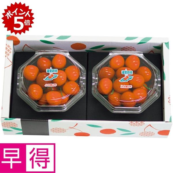 【早得予約は4/13(月) 15時まで】※早得期間終了後は、本体価格5,9000円(税込6,372円)となります。丹精込めて育てた、見た目にもかわいらしい旬の「佐藤錦」をいち早くお届けいたします。●商品詳細秀品、Ｍ又はＬサイズ、２パック（１...