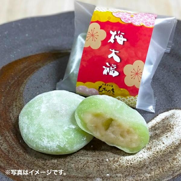 【もちのき】梅大福 5個入梅の風味と香り、食感を残したすっきりとした甘さの大福です。自然豊かな富士宮市。稲子産の梅をピューレにして、刻んだ梅と一緒にふんだんに白餡に練り込みました。梅の風味と香り、食感を残したすっきりとした甘さの大福です。●...