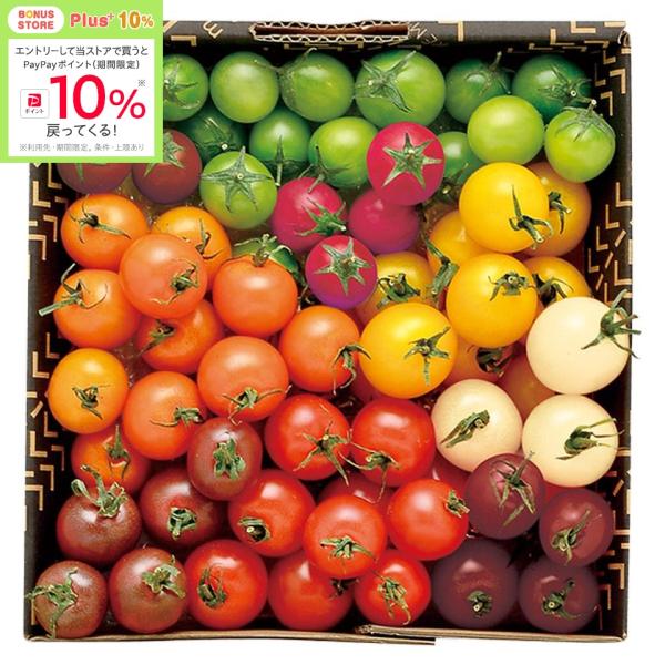 【ご予約は8/5(水) 15時まで】　おまかせ8色！見て楽しい、食べておいしい、彩り豊かな北海道の夏をお届けします。●商品詳細900ｇ以上（8色がランダムに入ります。）●原料原産地：北海道剣淵町●配送温度：冷蔵＜商品のお届け・変更・キャンセ...