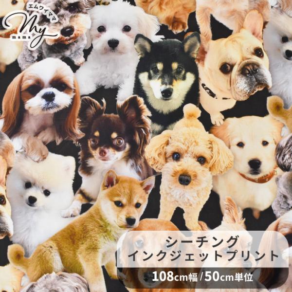 〜 フェイバリット ドッグズ 〜シーチング インクジェットプリント生地#ゆうパケ6点可犬好きさんにおすすめ！ポメラニアン、チワワ、パピヨン、トイプードル、シュナウザー、フレンチブルドッグ、ラブラドール・レトリバー、マルチーズ、シーズー、ヨー...