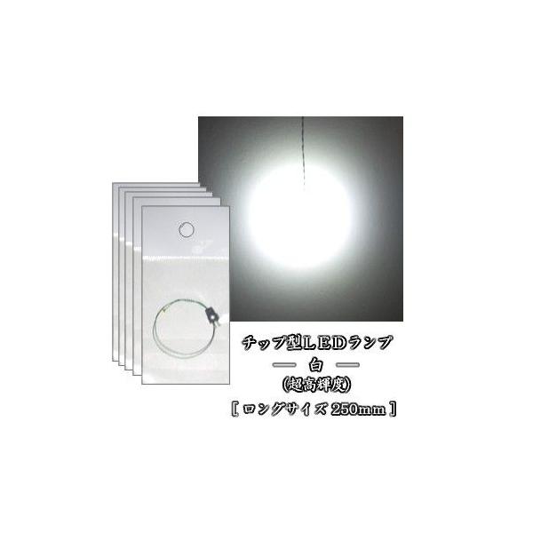 プラモデル・鉄道模型ジオラマ・ドールハウス・建築模型など各種模型やクラフト作品のＬＥＤ電飾に！部屋の明かりや外灯、乗り物のランプなど、明かりを必要とする部分に頻繁に使用する定番カラーの白色！Nゲージスケールの小さな建物であれば、これ1つでも...