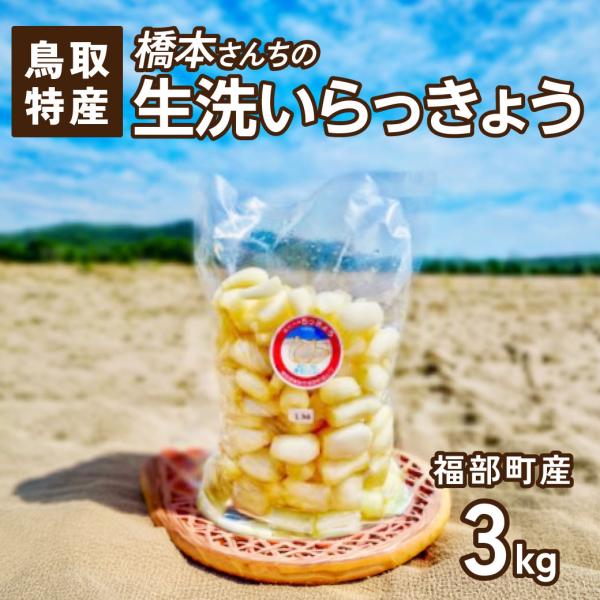 ■商品説明こちらの商品は予約商品です。6月上旬から収穫でき次第順次発送します。  地元、鳥取人も迷わず選ぶ最高品質！ 鳥取大砂丘の近くに位置する「鳥取福部町」で育ったらっきょうは、起伏に富んだ砂丘の過酷な環境に耐えるために身が太く身が締りシ...