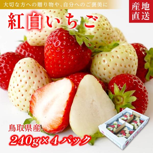 ■商品説明鳥取市のいちご農家が丹精込めて育てた「とっておき」と希少な「白いちご」の詰め合わせセットです。【とっておき】上品ですっきりした甘みとほどよい酸味で濃厚な味わい。緻密な果肉は食べ応えがあり、華やかな香りが美味しさを後押しします。【白...