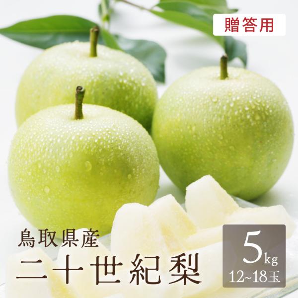 ■商品説明太陽の光をたっぷりと浴びた二十世紀梨です。栽培開始から１００年を超える歴史を持つ鳥取の二十世紀梨。卓越した技術と丹精込めた栽培管理によって、鳥取の二十世紀梨ブランドが築きあげられています。二十世紀梨はジューシーで、酸味と甘さのバラ...