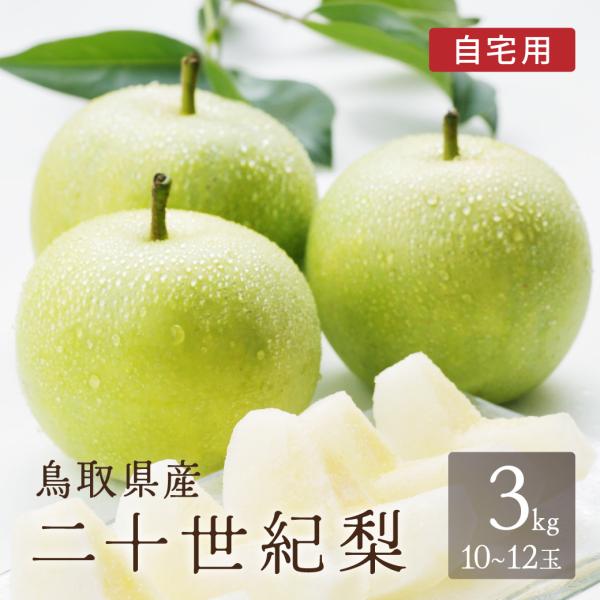 ■商品説明太陽の光をたっぷりと浴びた二十世紀梨です。栽培開始から１００年を超える歴史を持つ鳥取の二十世紀梨。卓越した技術と丹精込めた栽培管理によって、鳥取の二十世紀梨ブランドが築きあげられています。二十世紀梨はジューシーで、酸味と甘さのバラ...